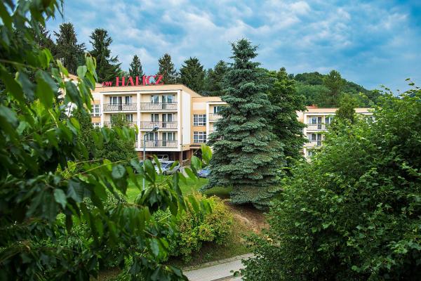 Dw Halicz - Solina, Poland