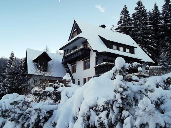 Apartment Tillisch By Interhome - Kappelrodeck