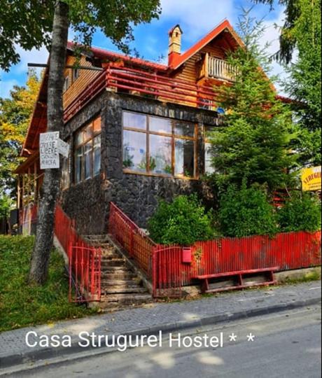 Vila Strugurelu Hostel - Roumanie