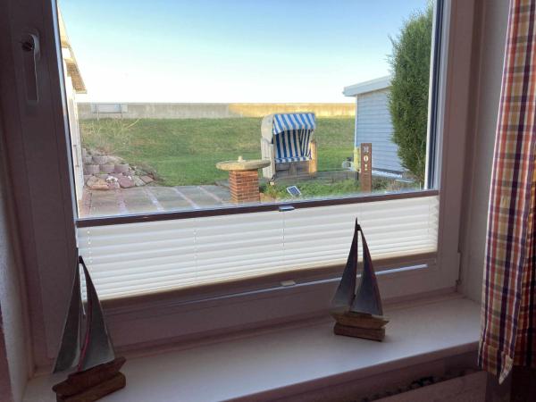 Hagelstein Ii "Bernstein" - Germany