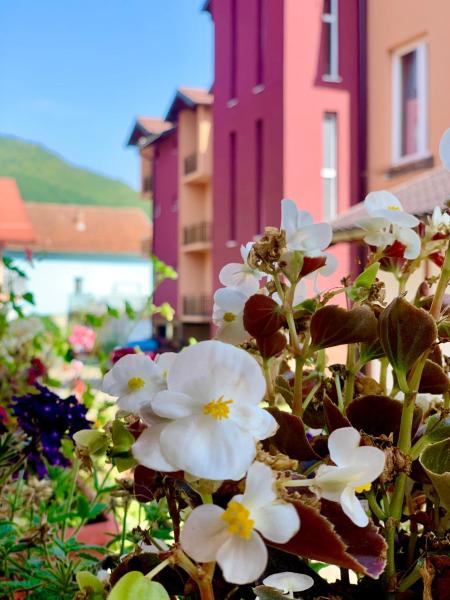 Hotel Casablanca - Bosnia and Herzegovina