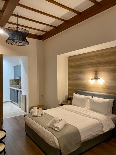 11 Luxury Apartments Metsovo. - Grecia