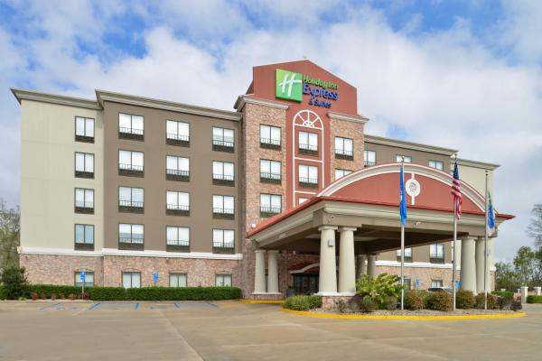 Holiday Inn Express Hotel & Suites La Place By Ihg - Louisiana