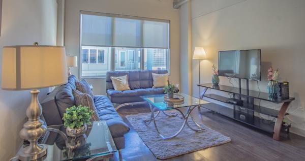 2 Bedroom Fully Furnished Apartment Near Emory University Hospital Midtown - Brookhaven, GA