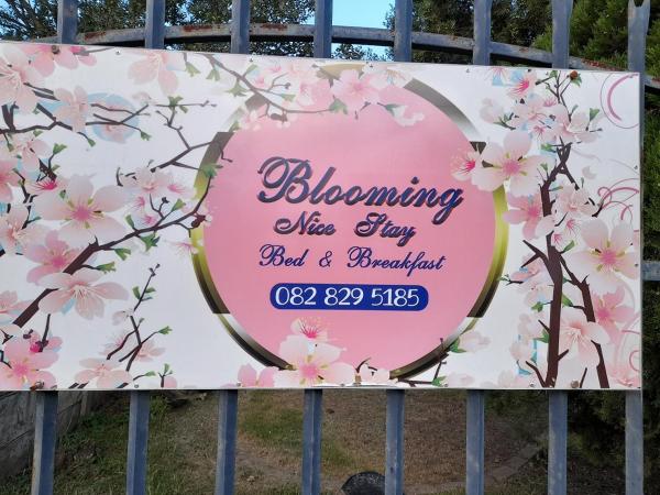 Blooming Nice Stay - Harrismith