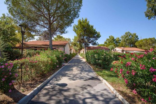 Holiday Homes In Piombino - Toskana 42359 - Toskana