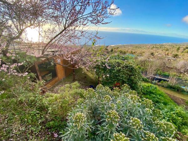 Abracaribes -