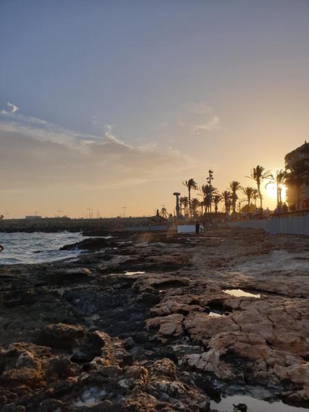 Studio Mit Pool,450 M Zur Strand - Torrevieja