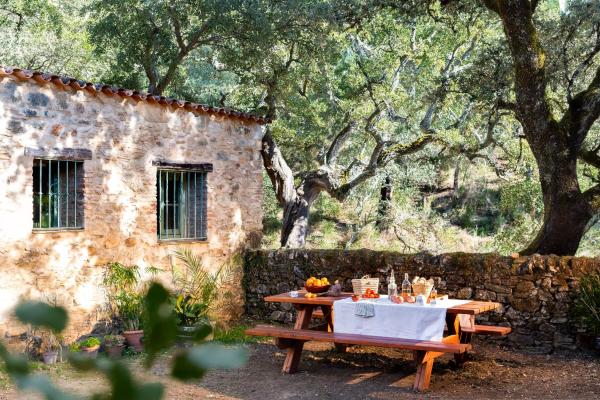 Nature Space Jabugo - Alájar