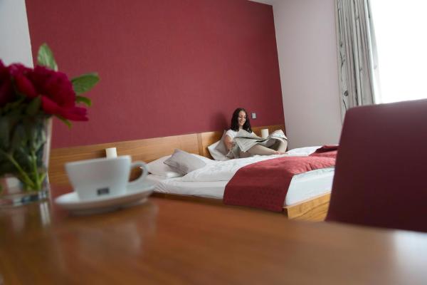 Hotel Greive - Haren