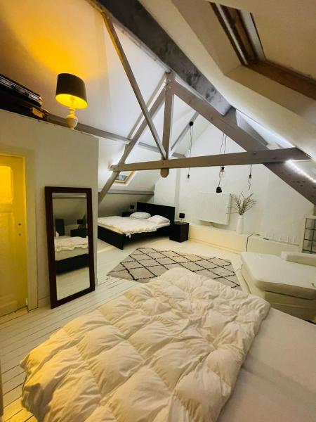 O-sea House: Herenwoning In Belle Epoque Wijk Te Oostende - Ostende