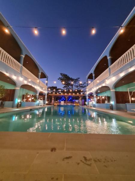 Toro Blanco - Costa Rica