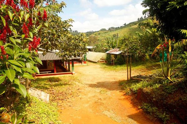Caficultur -Alojamiento Rural - Buenavista