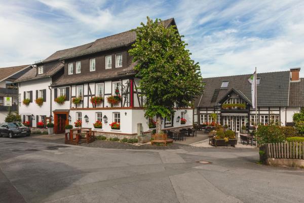 Landhotel Gasthof Willecke - Sundern