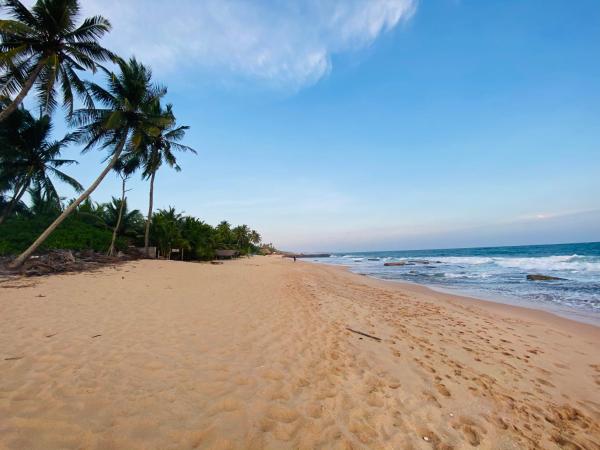 Little Pumpkin Cabanas & Seafood Restaurant - Sri Lanka
