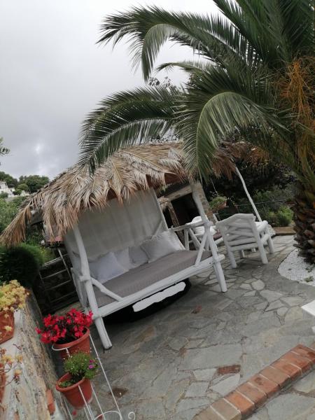 Rosamimama Citra Oo9042-lt-0250 - Bergeggi