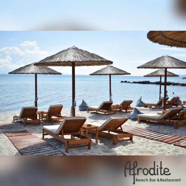Afrodite Seaside Rooms - Chalkidiki