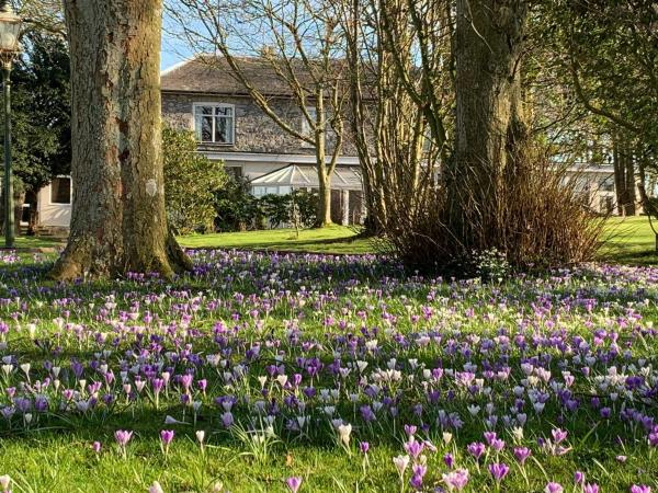 Woodlands Hall Hotel - Llŷn Peninsula