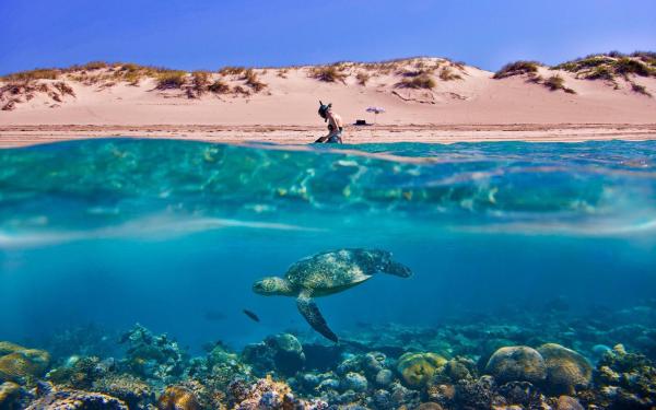 Tortuga Dafni Bay Villas Diver's Paradise By "Elite" - Zakynthos
