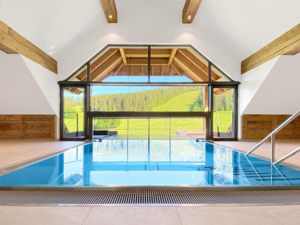 Schwarzenbach - Apartments & Rooftop Pool - Feldberg