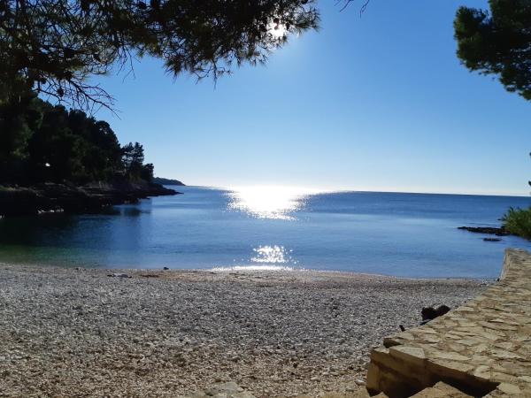 Apartman Diana,free Parking - Pola