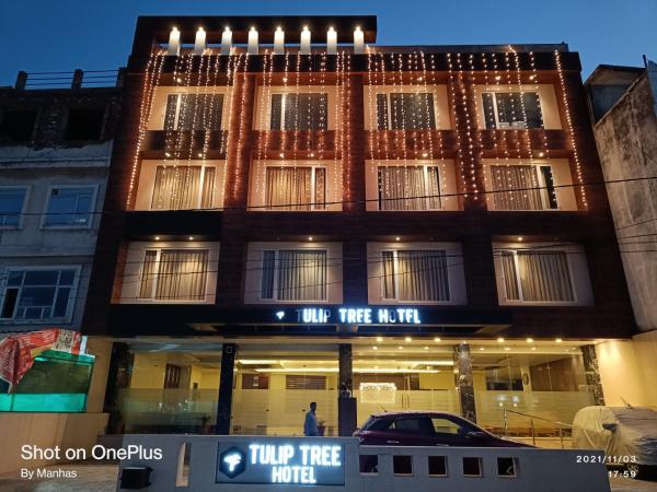 Tulip Tree Hotel - Katra