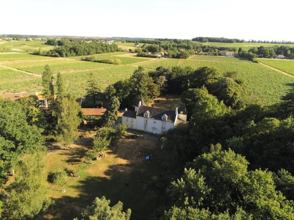 Du Vignoble à L'atlantique - Château Cassemichère Gîte - France