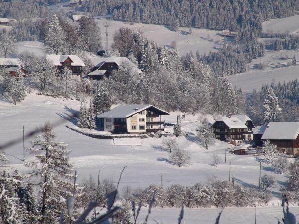 Apartment In Afritz Near Ski Resorts - Autriche