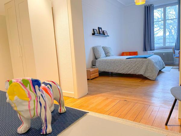 Chambres Privées -Private Room- Dans Un Spacieux Appartement - 100m2 Centre Proche Gare - Mulhouse