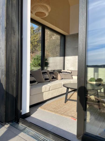 Forest Stodoły - Poland