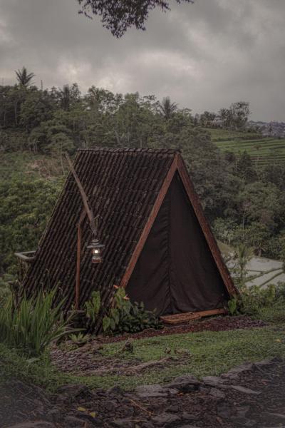 Kampung Kopi Camp - Bali