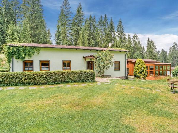 Holiday Home With Swimming Pool In Jägersgrün - Klingenthal