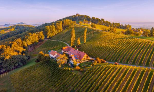 Winzerzimmer Mit Balkon - Styria
