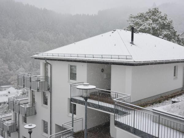Wohnung In Der Nähe Der Hessischen Berge - Willingen
