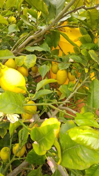 Domus Sea And City - Marseille