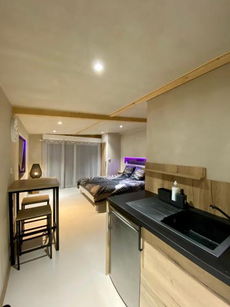 Le Studio,superbe Appartement Meublé Avec Terrasse - Dole