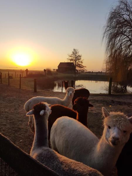 Minicamping Aan De Waterspiegel - Zoutelande