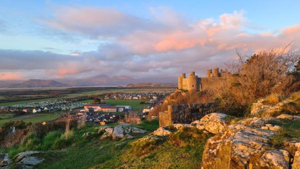 Y Branwen Restaurant & Rooms - Adult Only And Dog Friendly - Portmeirion