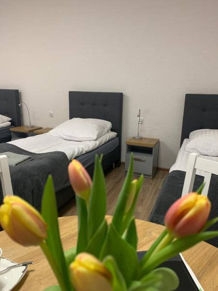 Hostel Adabet - Polonia