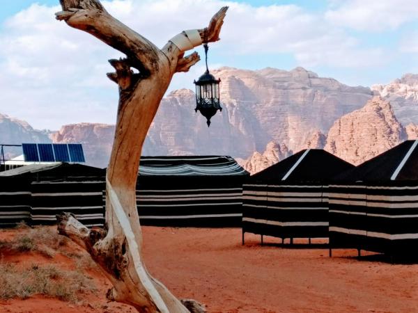 Desert Tree Camp&tours - Jordanië