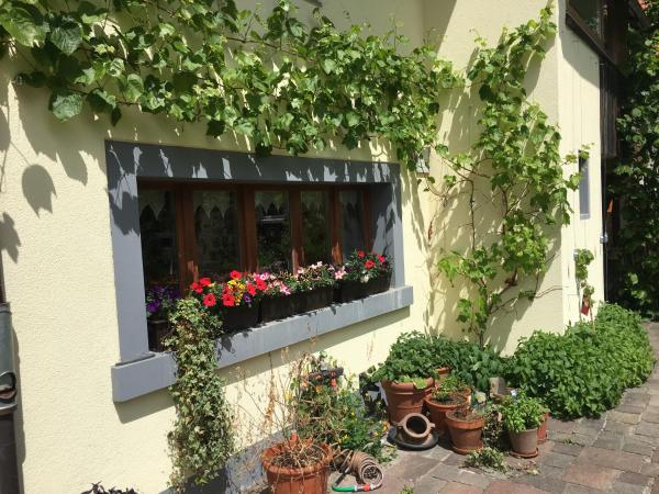 Ferienhaus Mit Naturgarten - Schaffhausen