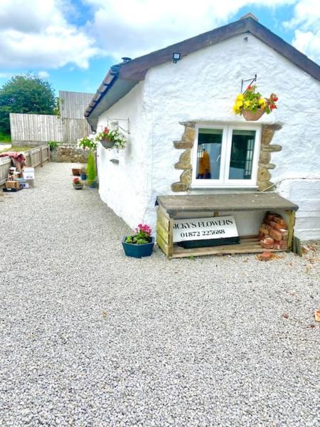 Romantic Log-burner Cornish Cottage Private Garden Dogs Welcome - St Agnes