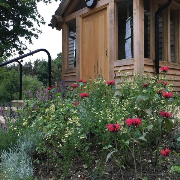 South Downs Eco Lodge & Camping - Fareham
