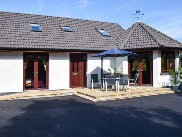 Little Chestnut - Écosse