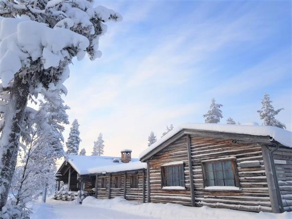 Tunturipöllö / Lapland, Saariselkä - Saariselkä