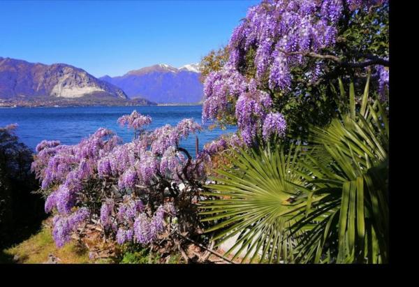 La Corte Di Suna - Lago Maggiore