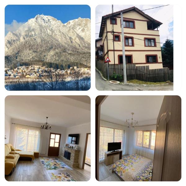 B House Bușteni - Predeal