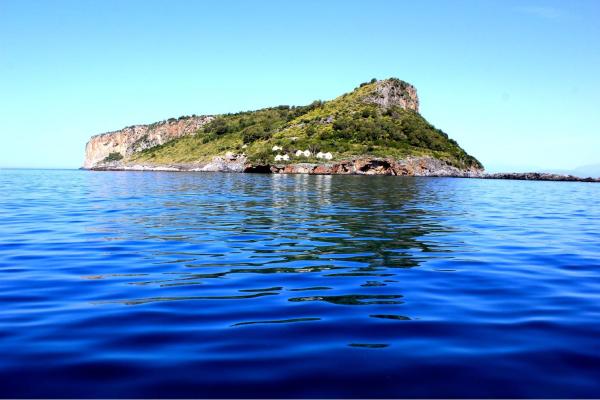 Tea Isola Dino - Hotel & Home - Praia A Mare - Maratea