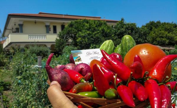 L' Arcobaleno Resort - Tropea