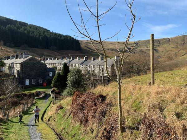 Yr Hen Siop - 4 Bed Welsh Cottage In Snowdonia - Blaenau Ffestiniog